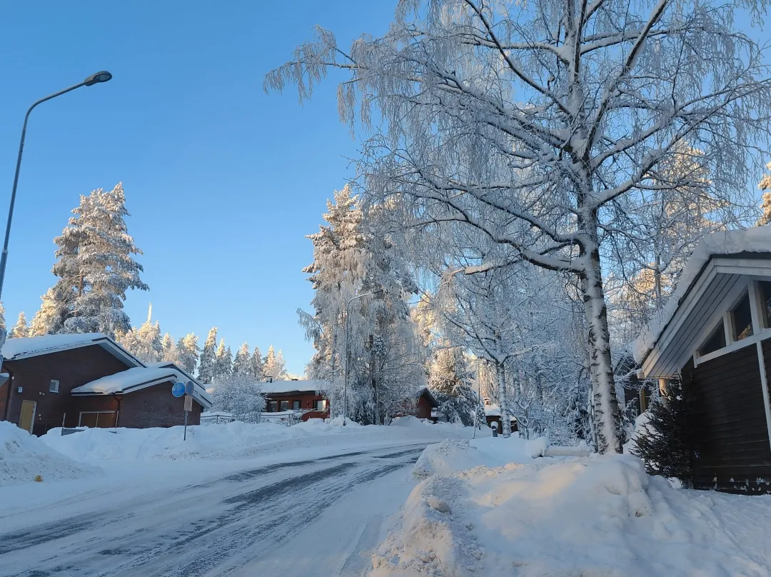 Cozy Forest Retreat In Kuopio - Perfect For Families & Work Trips - Kuopio