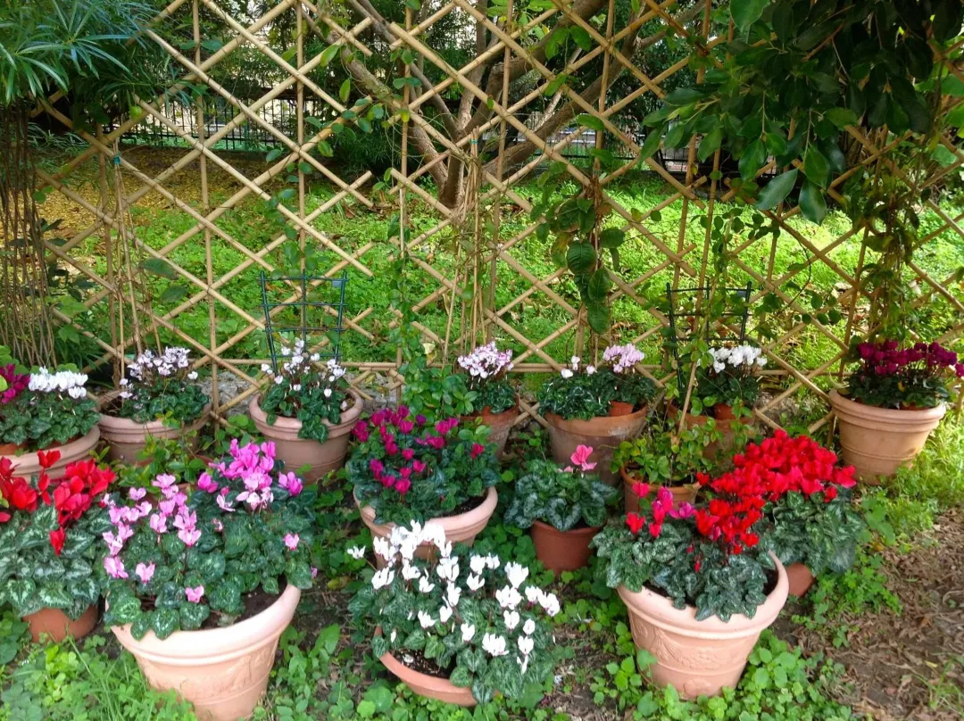 Lirma B&b - Cefalù