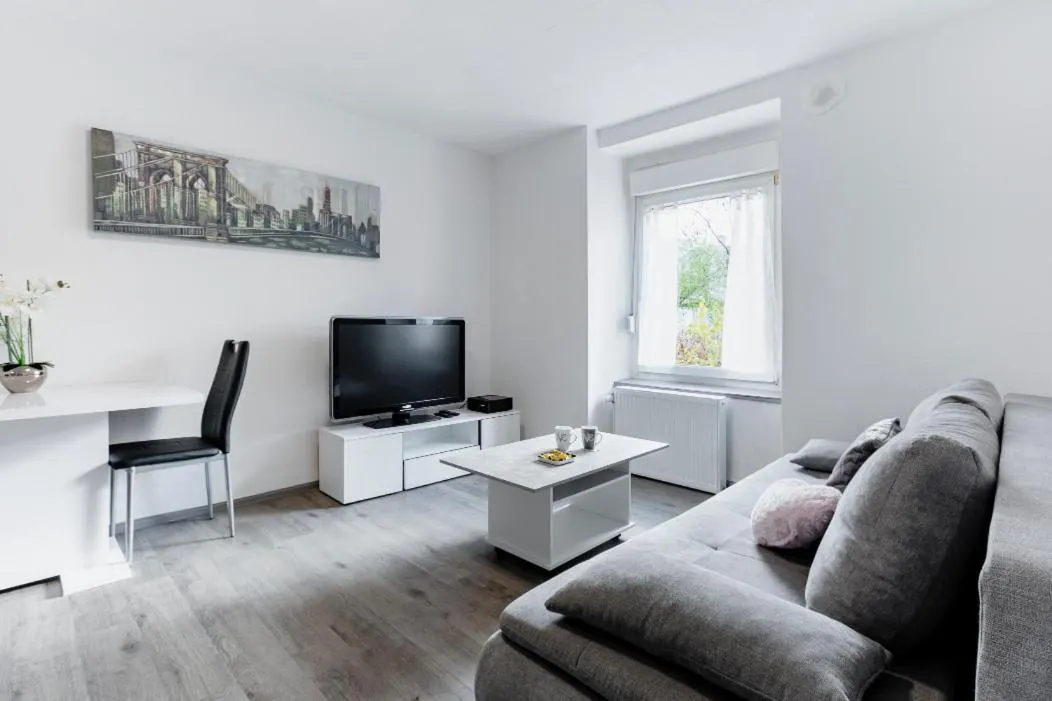 Comfort Stay Basel Airport 2a46 - Basel