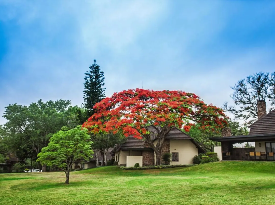 Sabi River Sun Resort - Hazyview