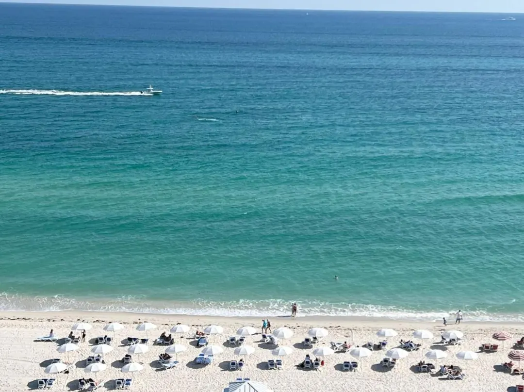 Monte Carlo By Miami Ambassadors - Miami Beach, FL