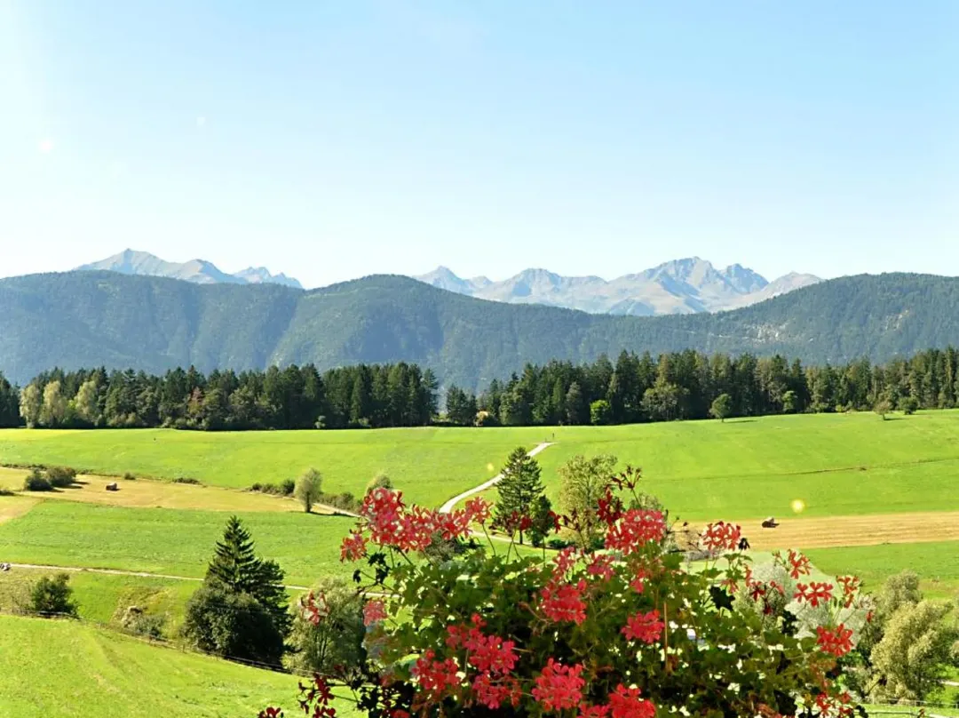 Hotel Rosa Resort - Alpes