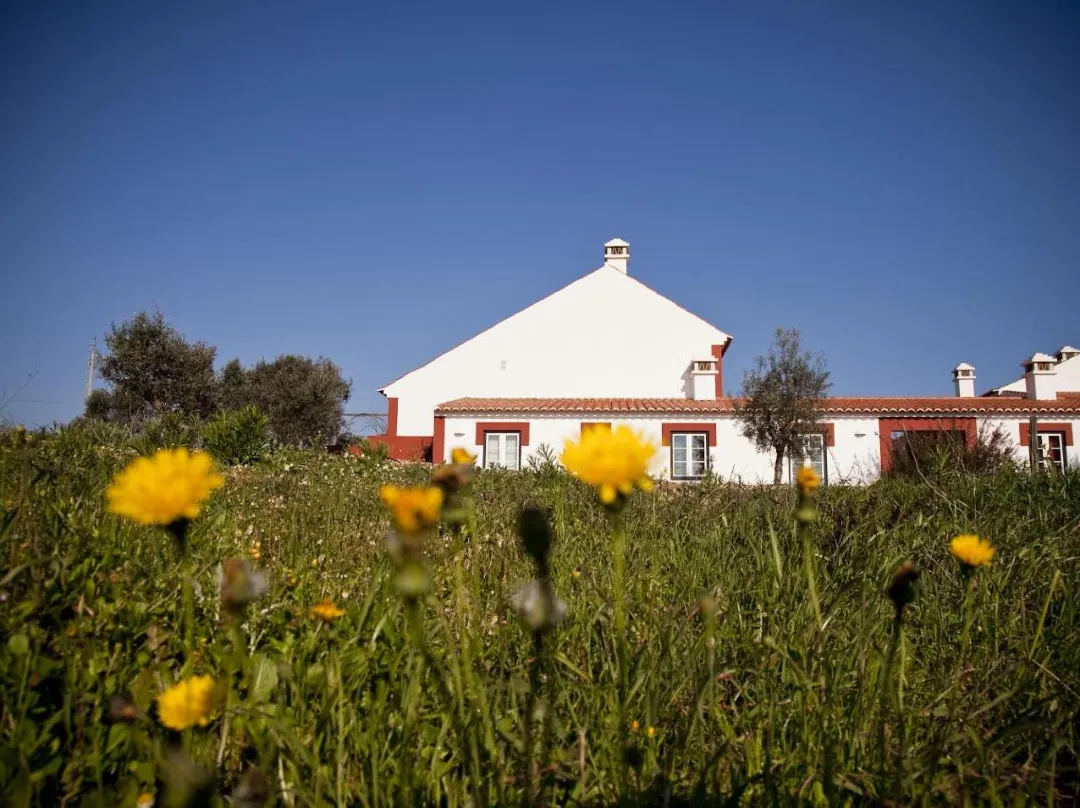 Naturarte Rio - Duna Parque Resorts & Hotels - Vila Nova de Milfontes