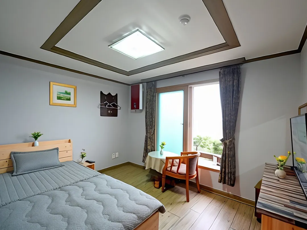 Jangseong Hwangryonggang Pension Guest House - Gwangju