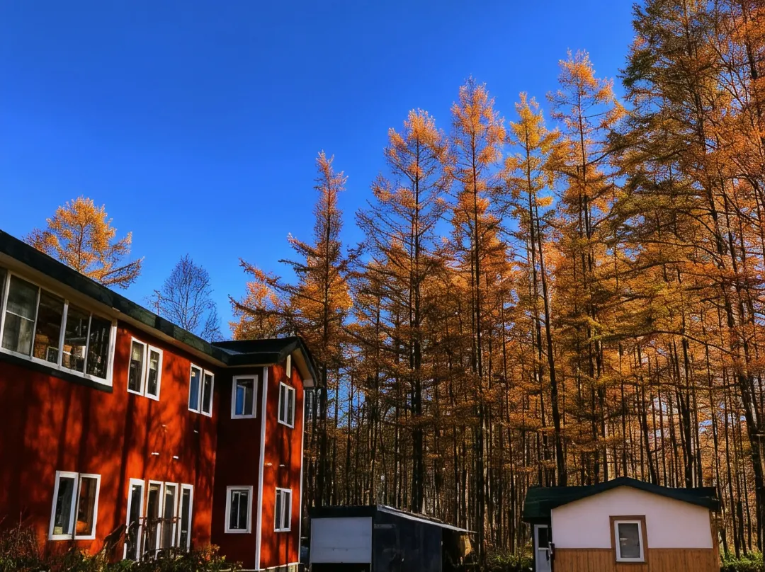 Obihiro Yachiyo Youth Hostel - Hokkaidō