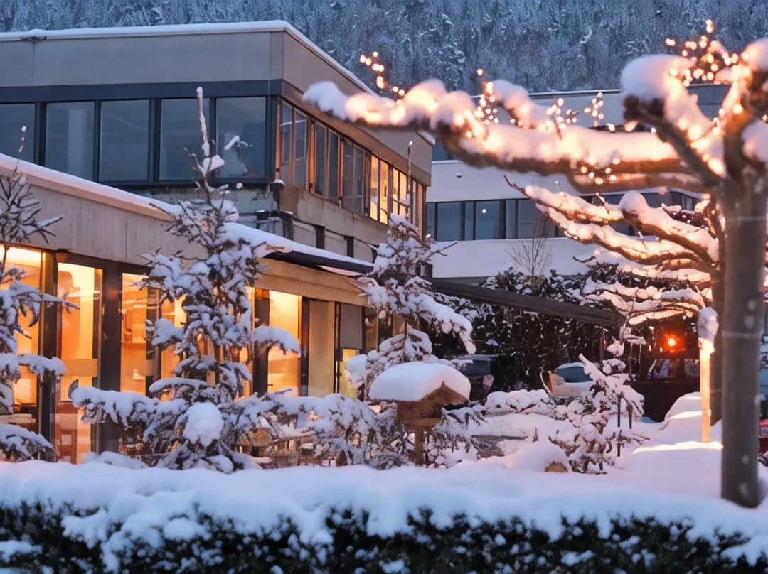 Hotel Sommerau - Coire