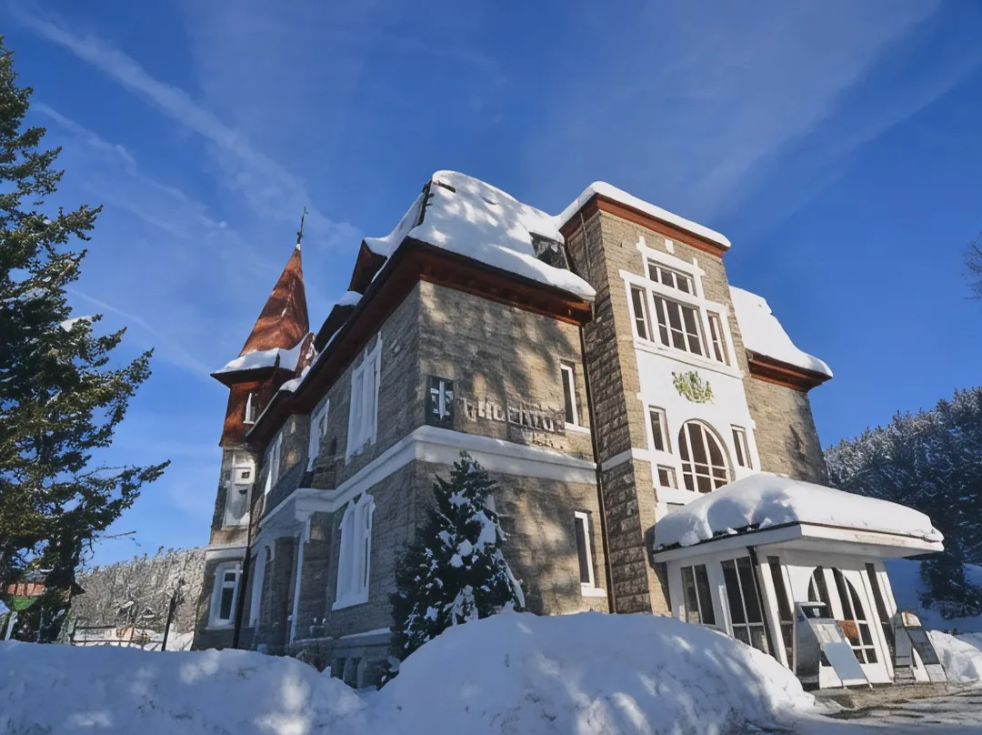 Seehotel Hubertus - Schluchsee