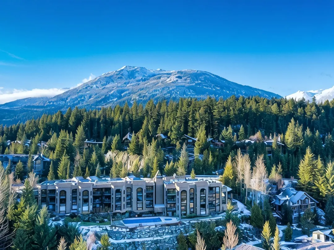 The Ironwood On Blueberry Hill - Whistler