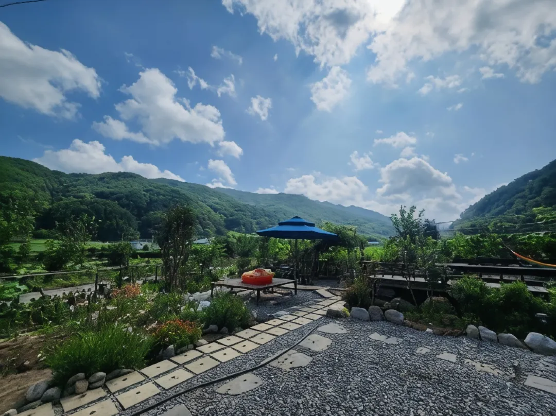 Danyang Forest 67 - Yeongju-si
