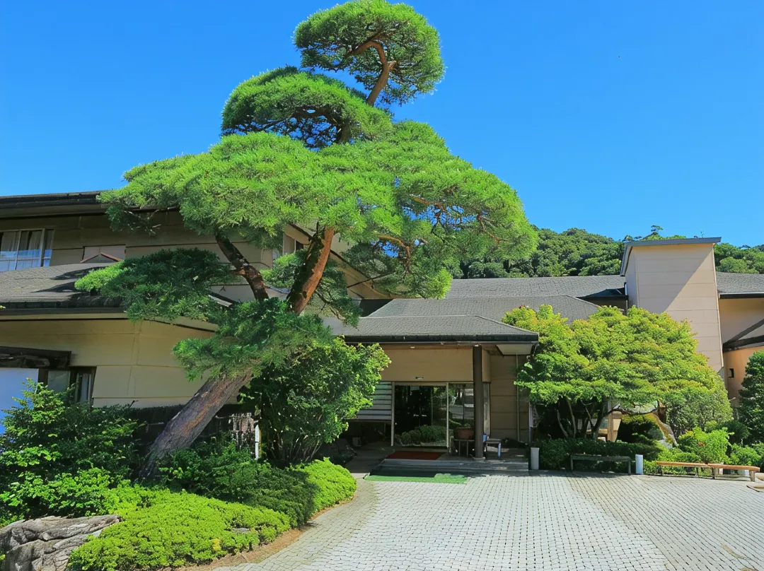 Nagatoro Choseikan Ryokan - 兒玉郡