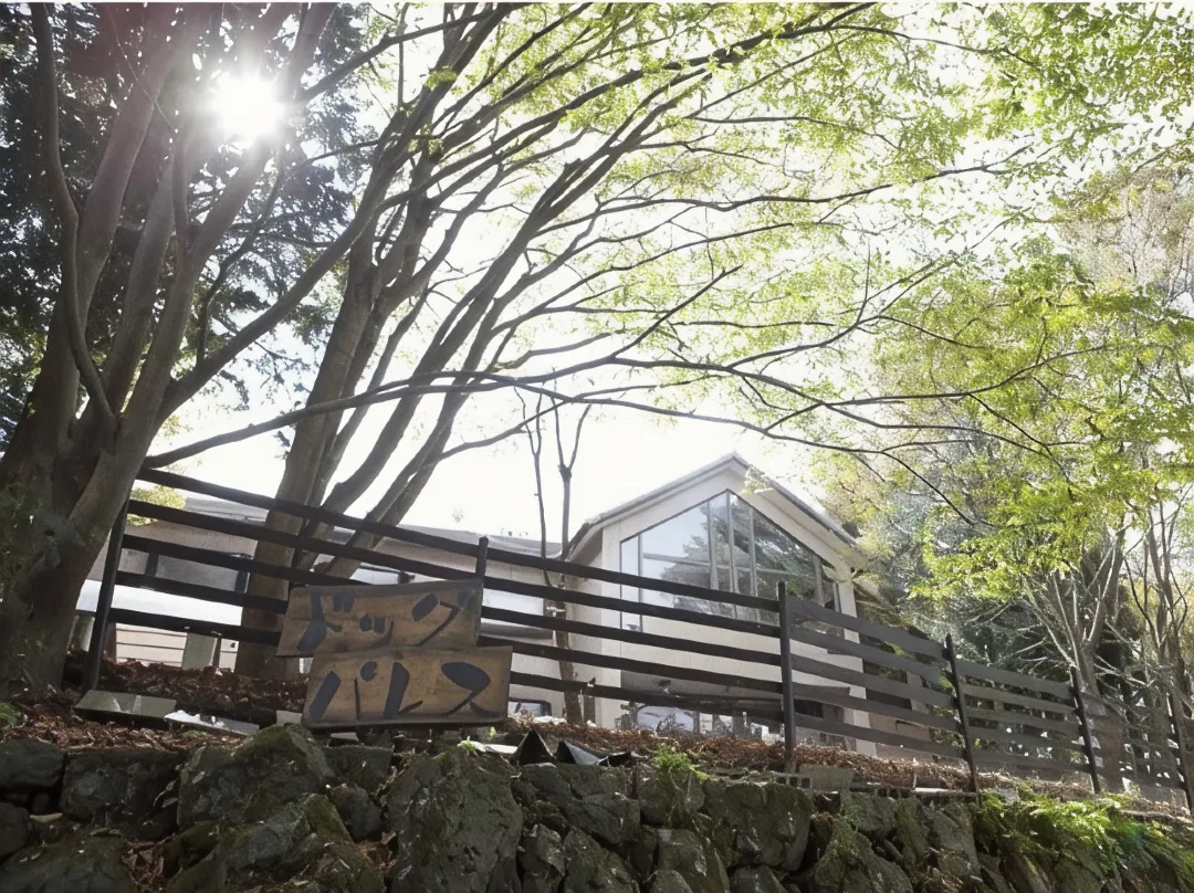 Dog Palace Resort Aso Otohime - 阿蘇市