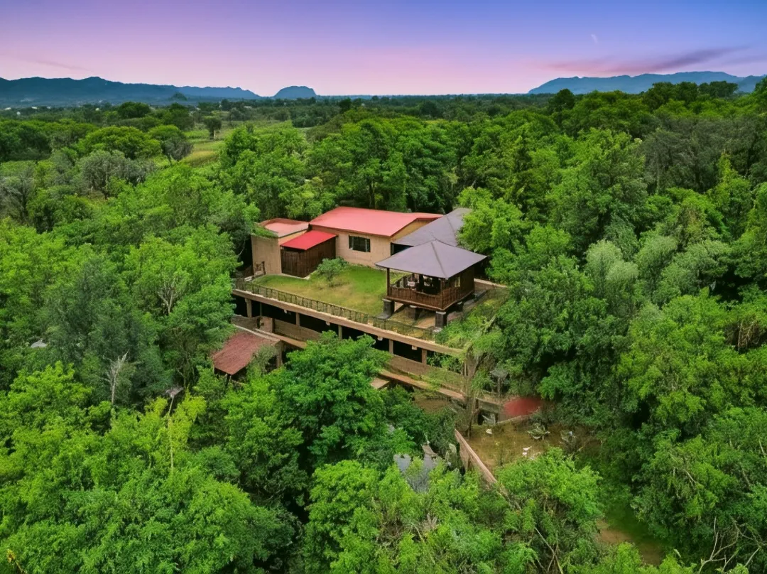 The Tree House Resort - Jaipur