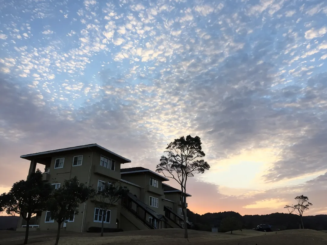 Hotel Blueberry Hill Katsuura - Chiba Prefecture