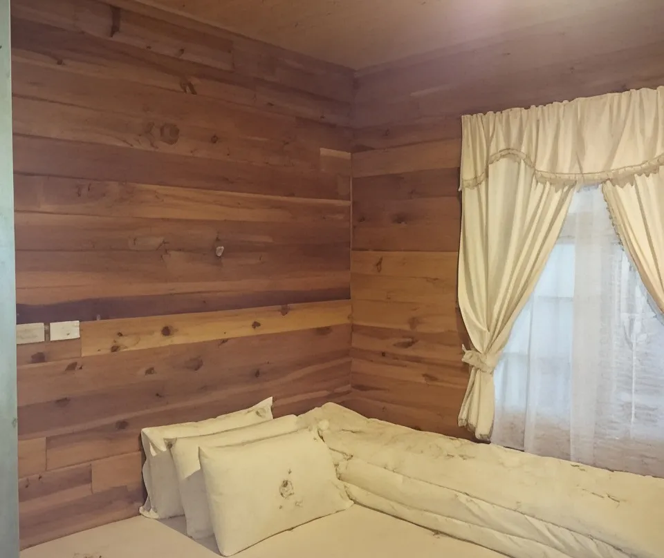 Xin Cai Homestay - 자이 현