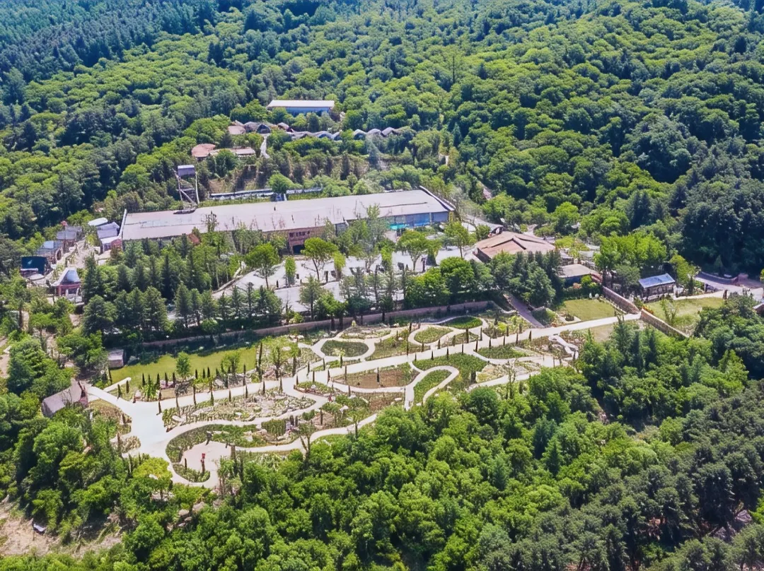 Gapyeong The Stay Healing Park - Yeoju-si