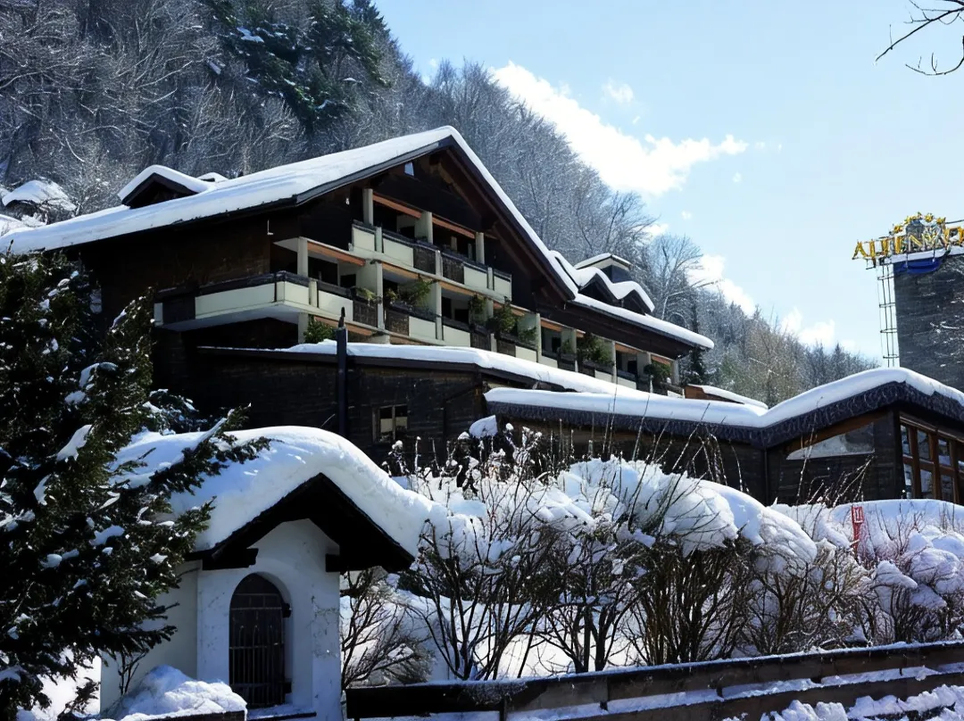 Aktiv & Spa Hotel Alpenrose - Schruns