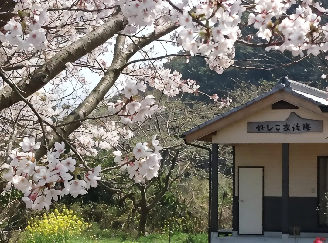 Guest House Neshiko Koryuan - Japan