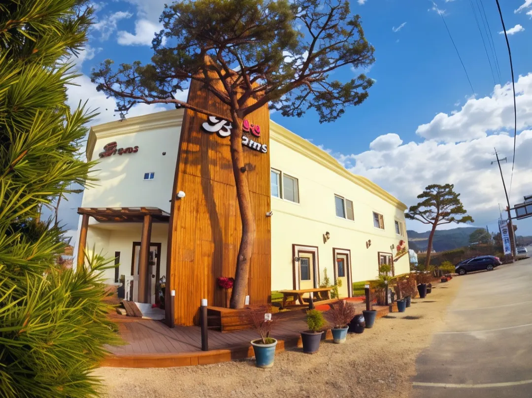 Jeongeup Brahms Pension - 광주광역시