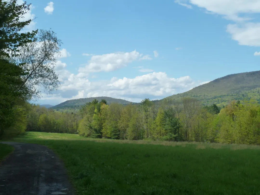 Morning Glory B N B Woodstock Ny - Woodstock, NY