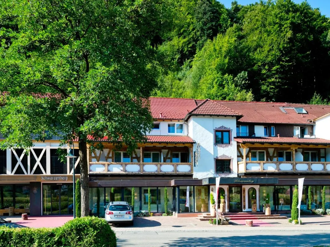 Hotel Schwarzenberg - Fribourg-en-Brisgau