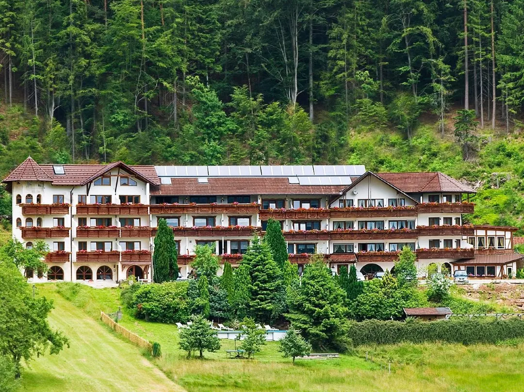 Landhotel Basler Hof - Schramberg