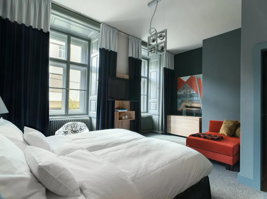 Saint Shermin Bed Breakfast & Champagne - Vienne
