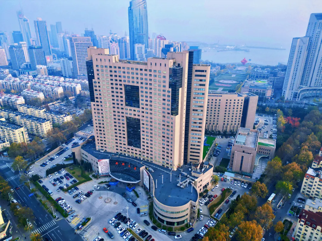Fuxin Hotel - 青島市