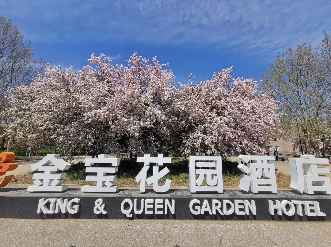 King & Queen Garden Hotel - Beijing