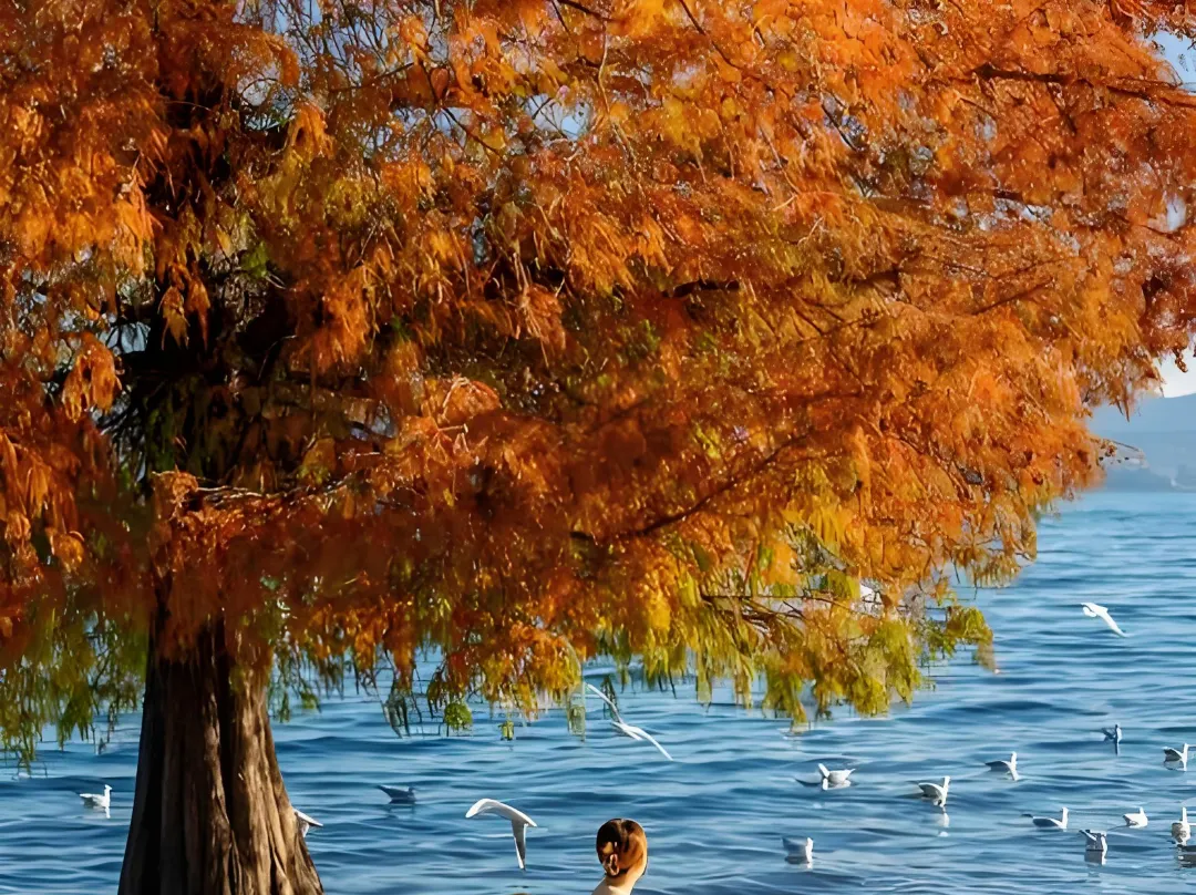 Yibo·miyang | Holiday Villa Tuye · Seaview Resort Homestay - Dali