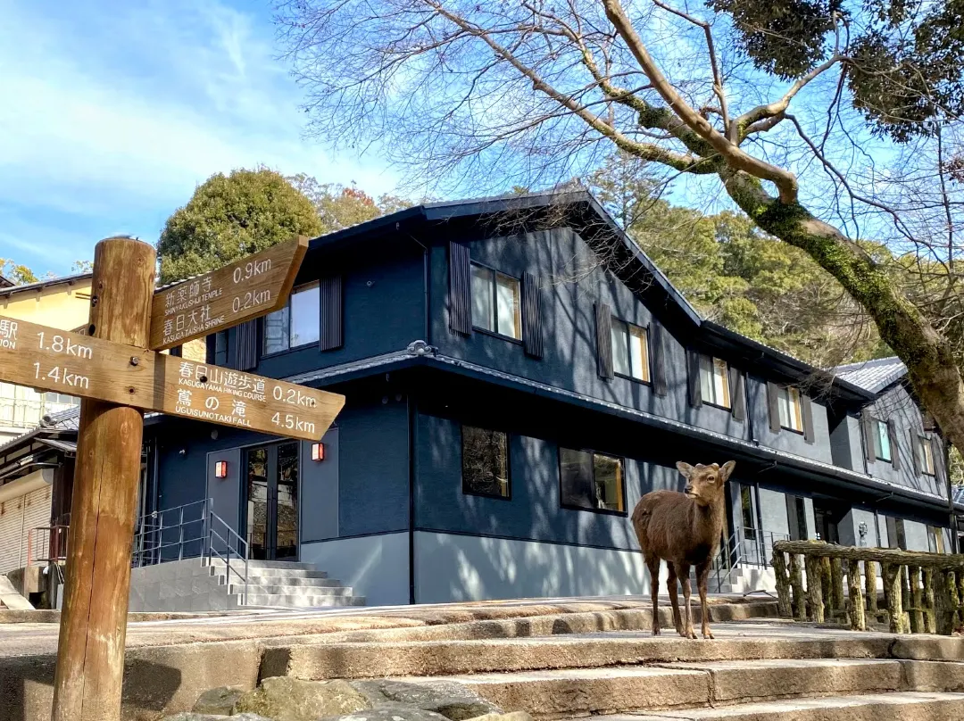 Nara Kasuga Kanoya - Nara