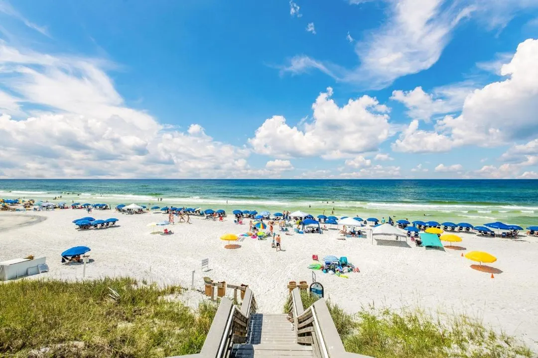 Seagrove Highlands 2309 - Seagrove Beach, FL