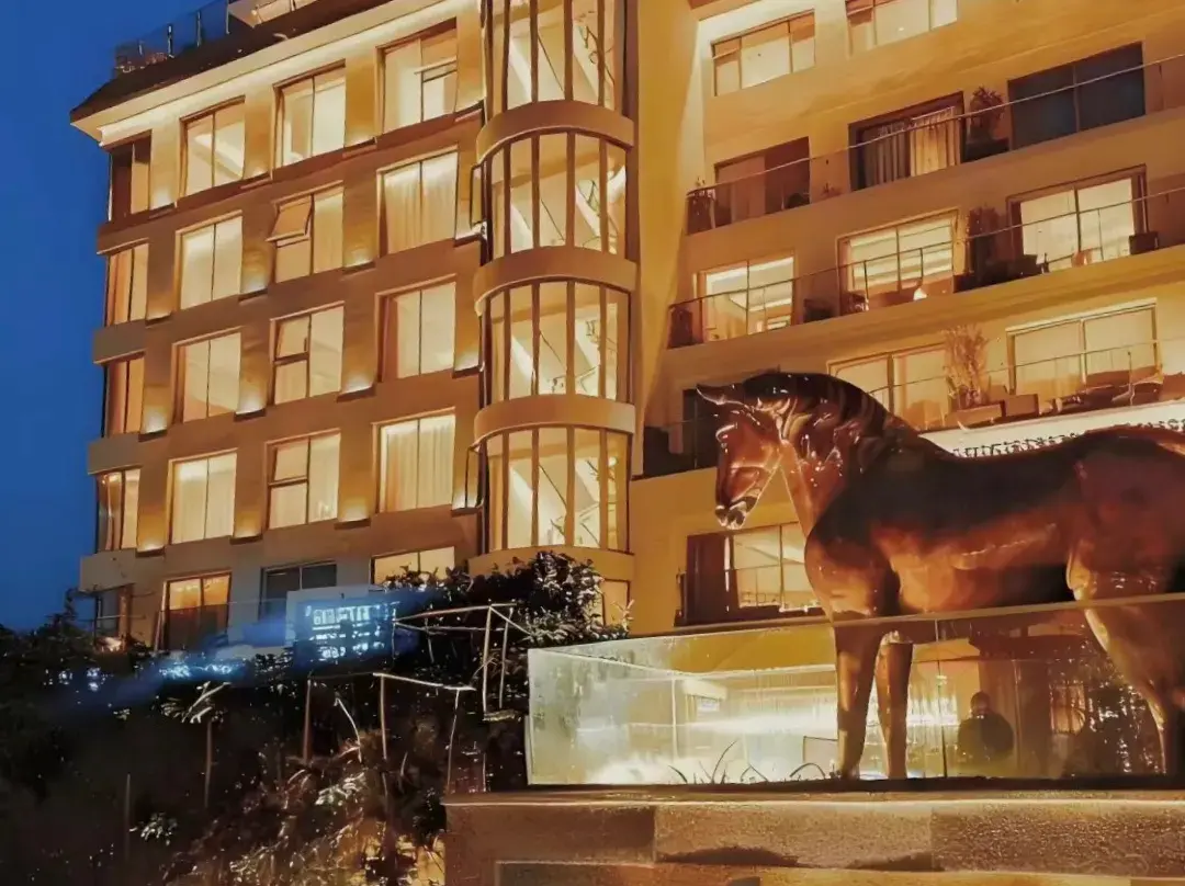 The Purple Horse（the Forbidden City，tiananmen） - Beijing