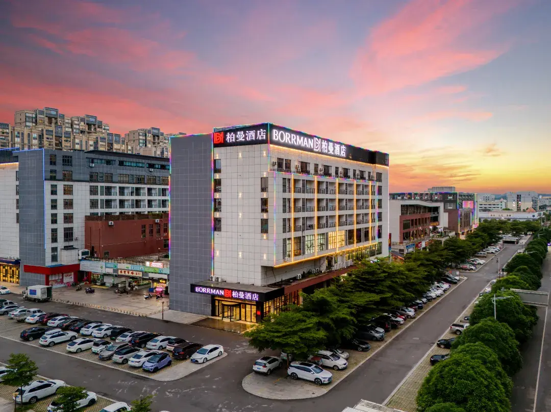 Borrman Hotel - 崇左市
