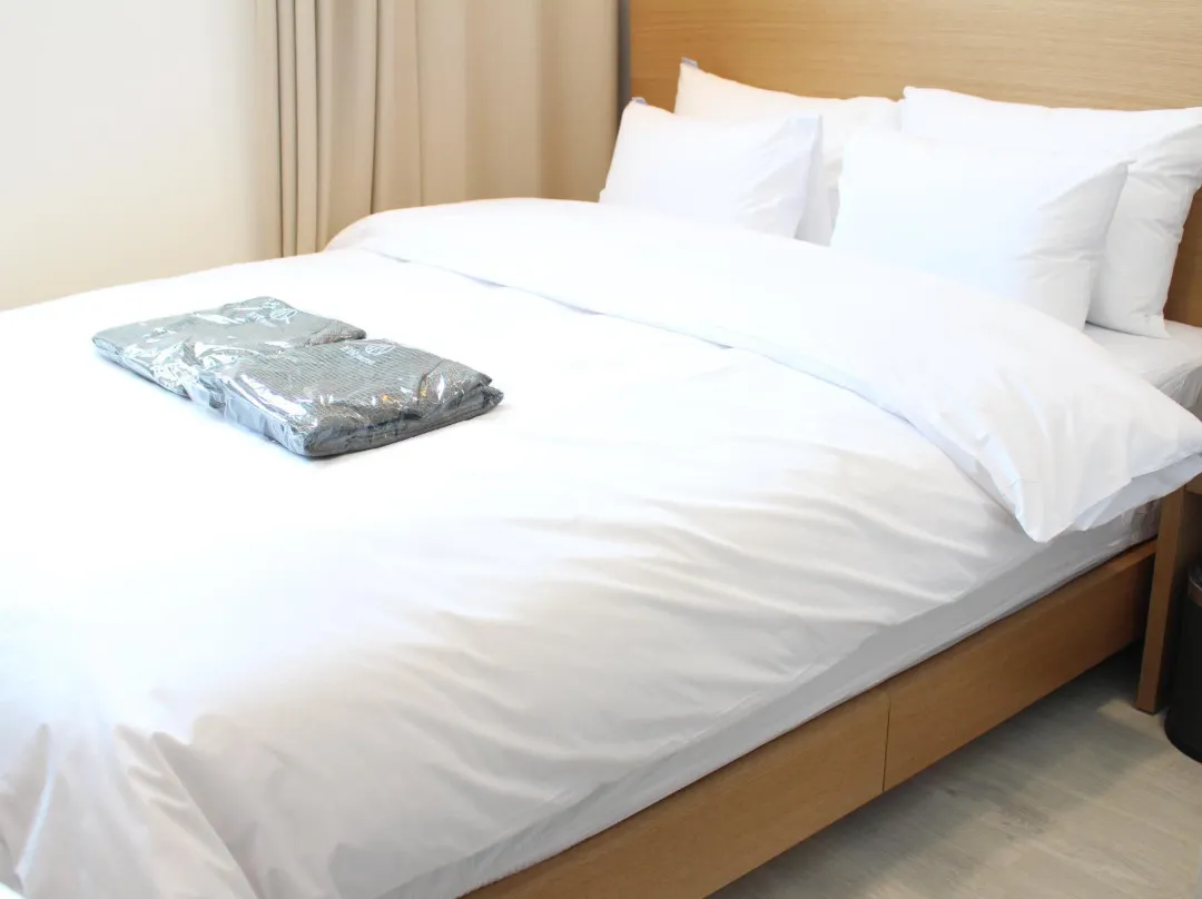 Ion Hotel Dongdaemun - Seoel