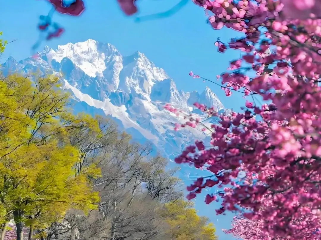 Golden Jade · Four Seasons Yunqi Light Luxury Resort Homestay - Lijiang