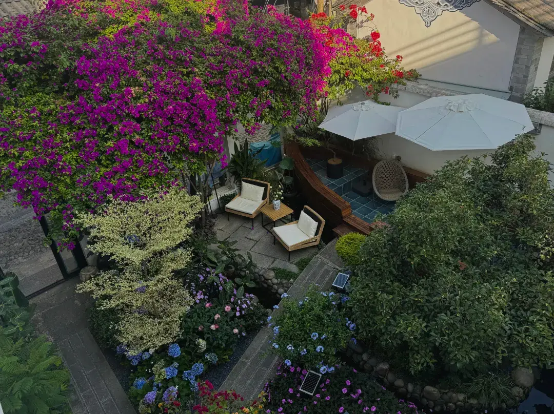 Dali Ancient City Four Seasons Homestay - Dali