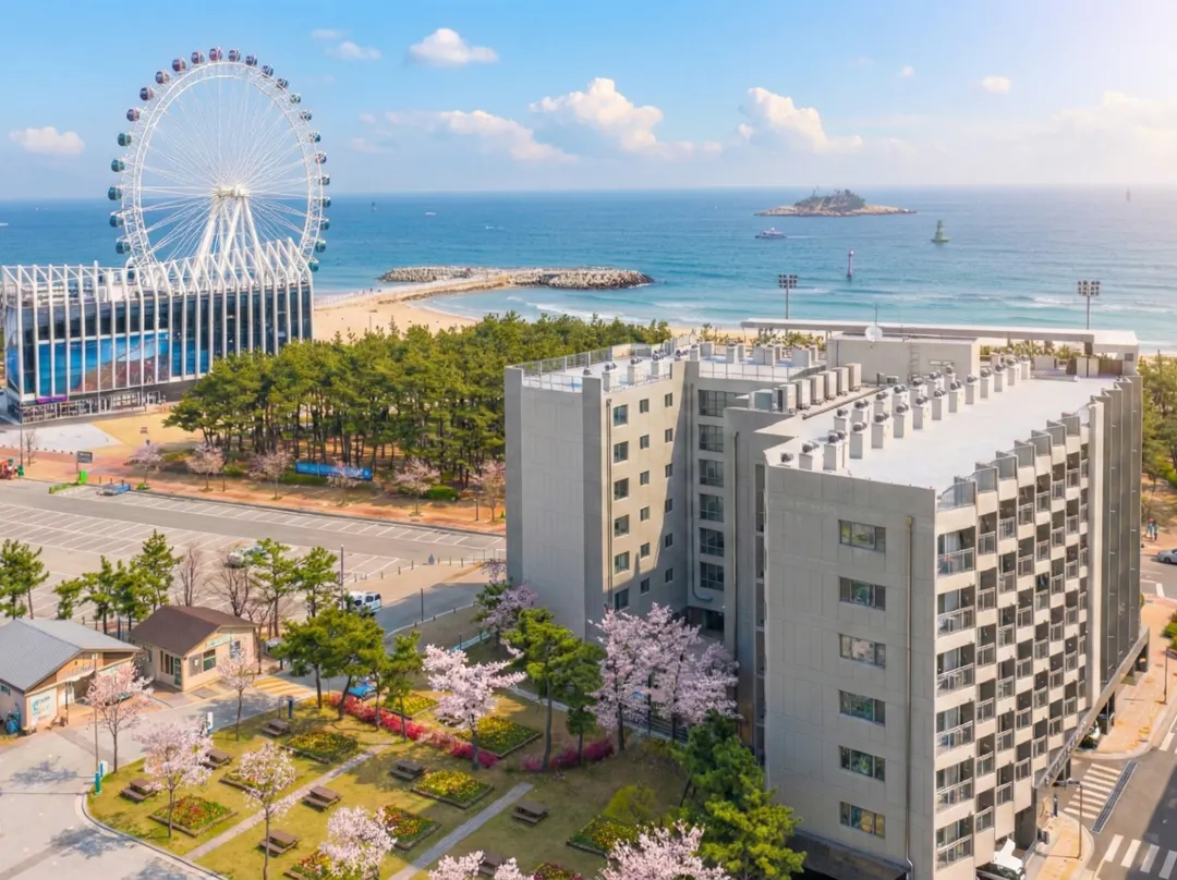 Sokcho Chonpines Beach Hotel - Sokcho