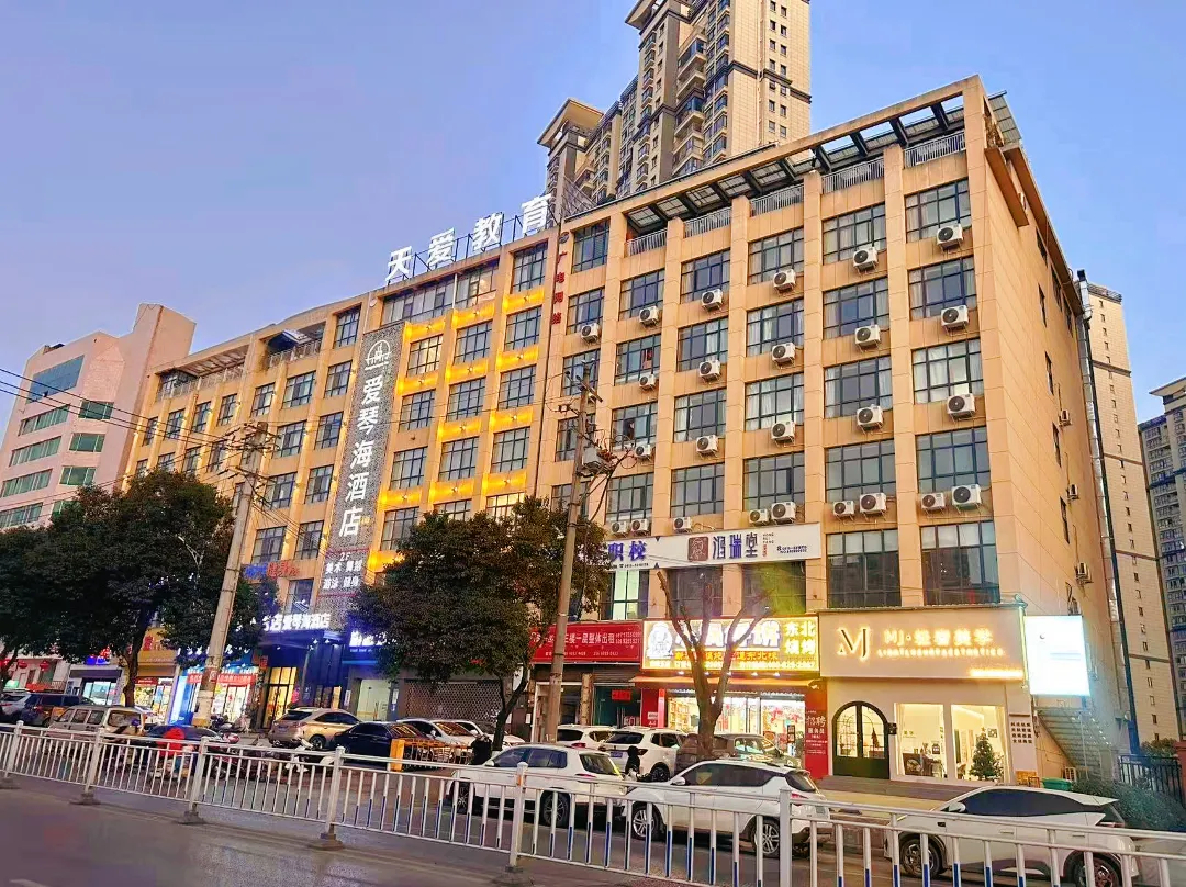 Aegean Hotel - Ankang