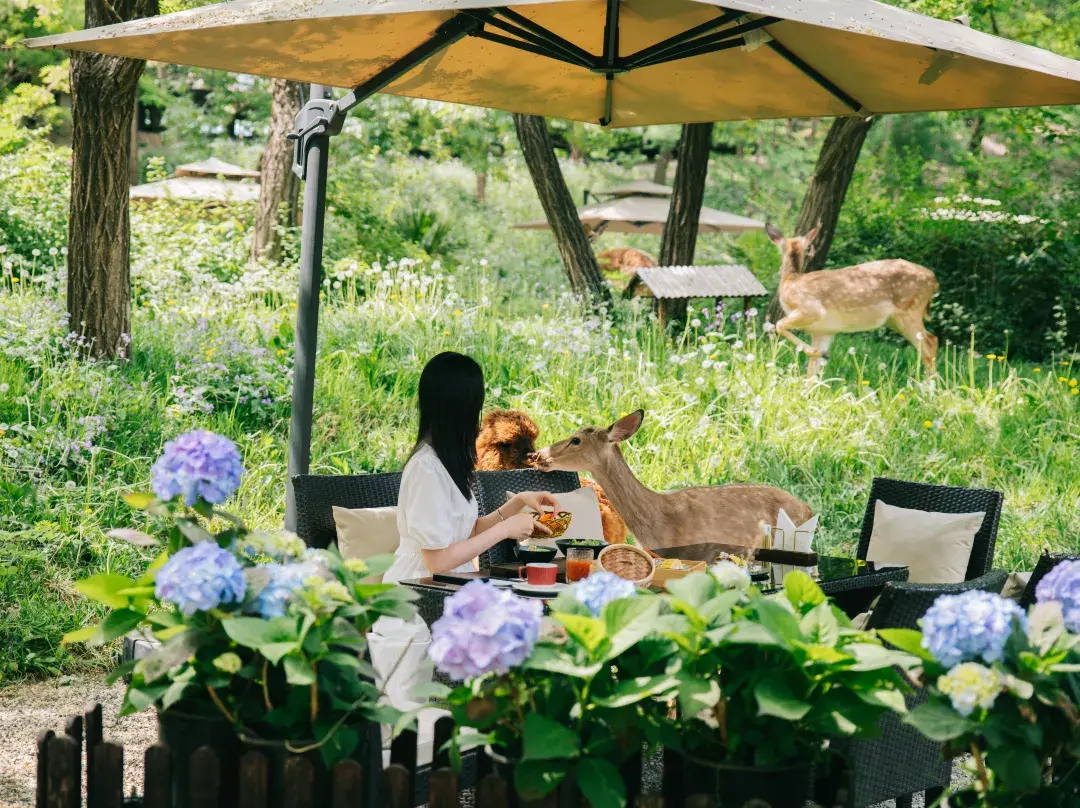 Zhi Resort - Pékin