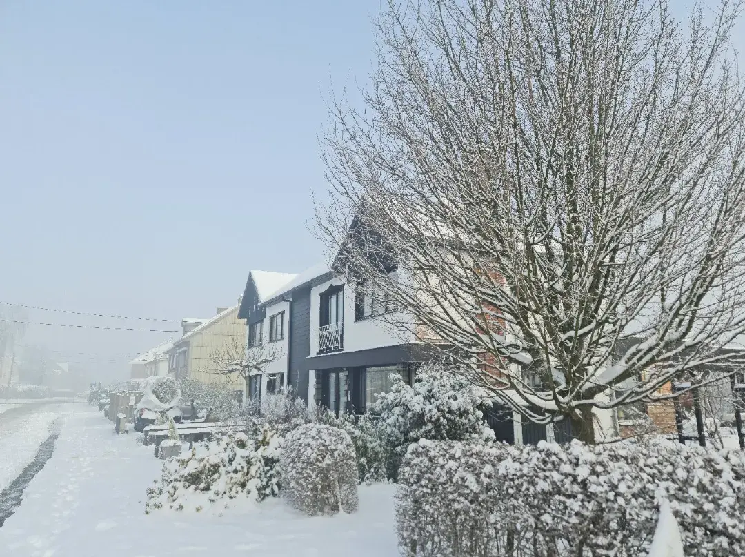 Lazy Olives - Limbourg (province belge)