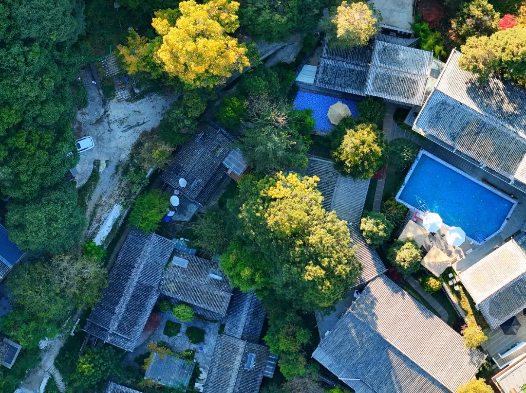Yintang Museum • Snow Mountain Cliff Forest Oxygen Art Manor - Lijiang
