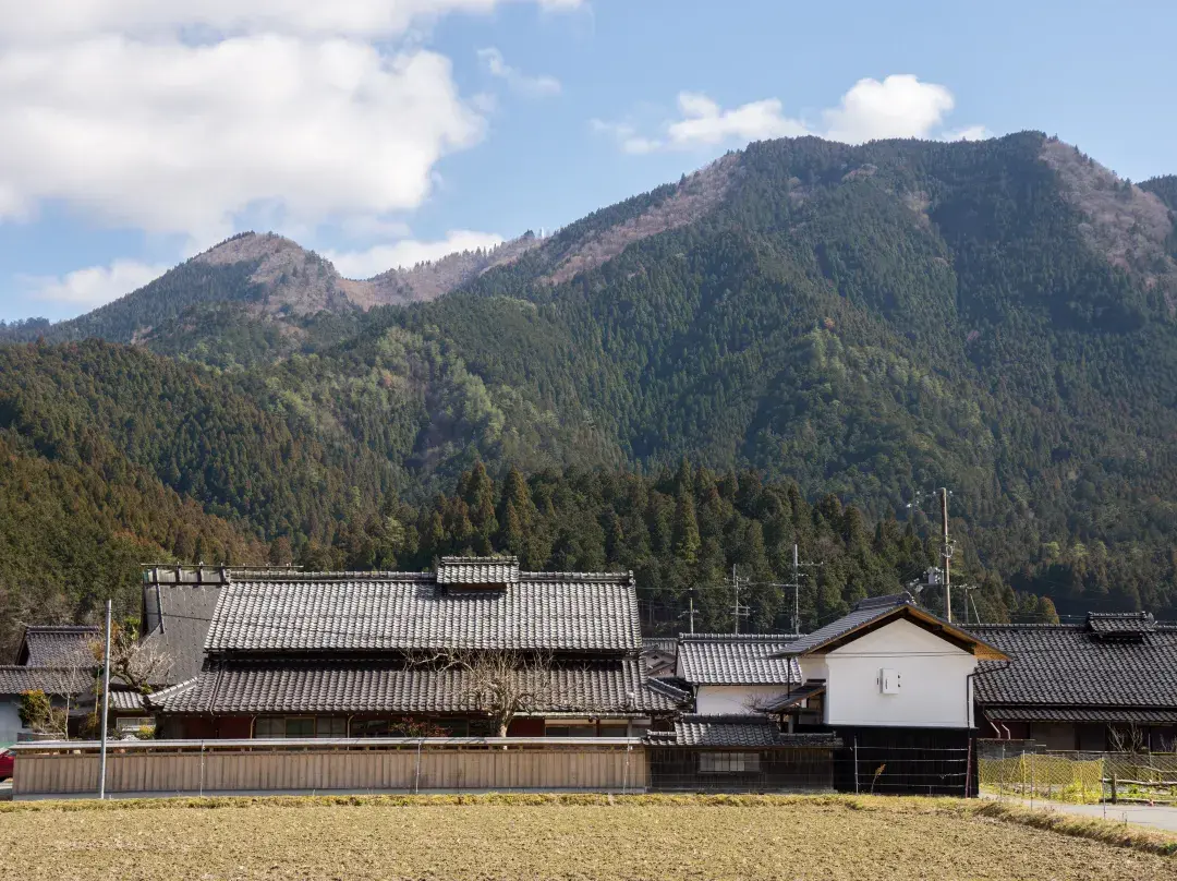 Tehen -Roots Stay- - Kyoto