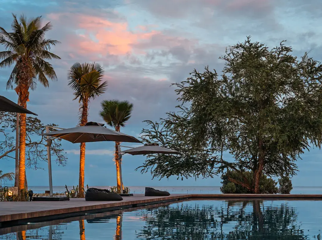 The Funny Lion - Puerto Princesa - Puerto Princesa