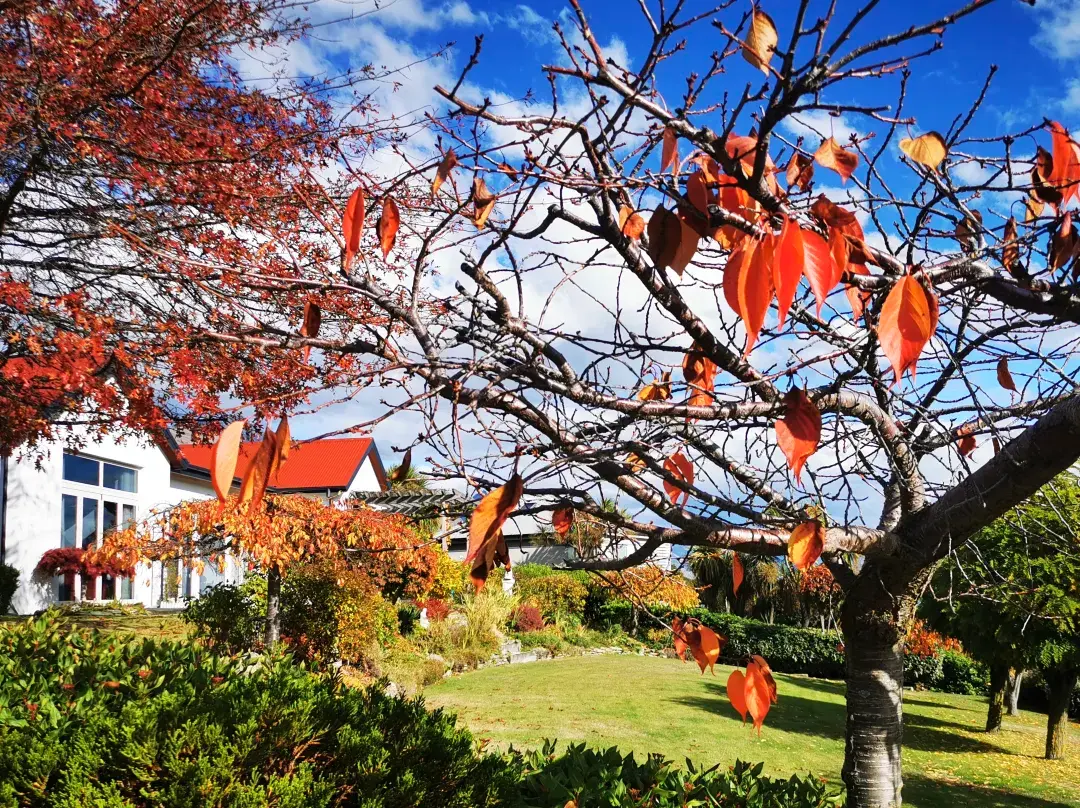 Kelvin Garden Villa - Queenstown