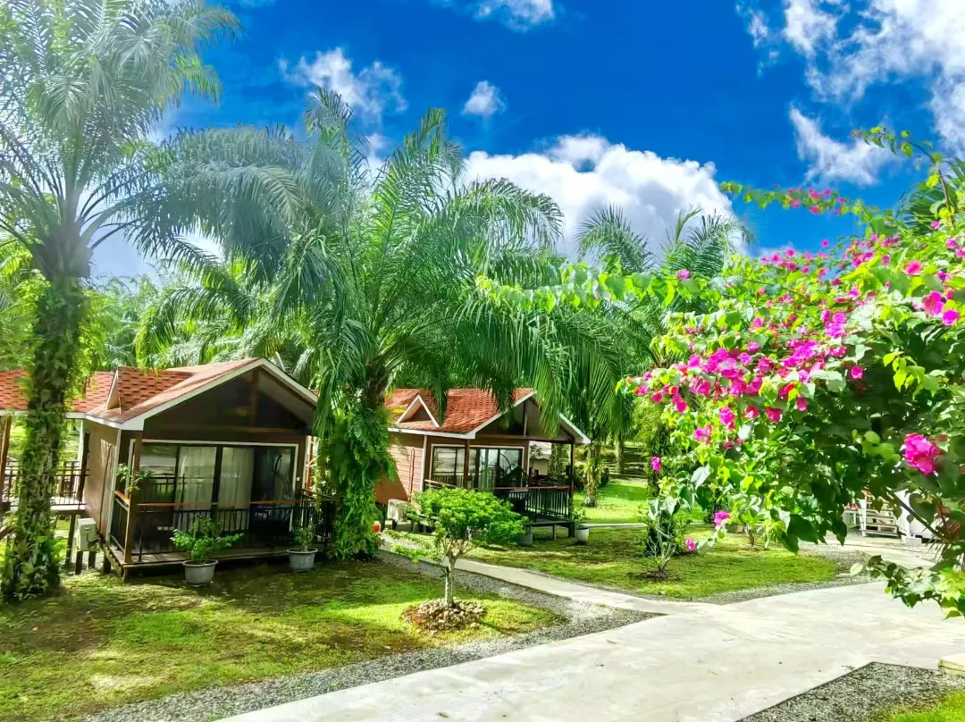 Palm Lake Resort - Semporna