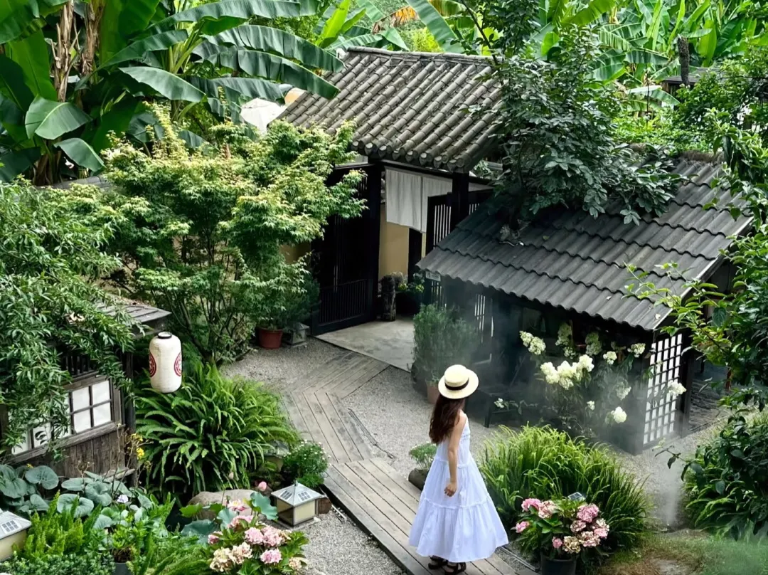 A Tree · Happiness Garden Inn - Lijiang