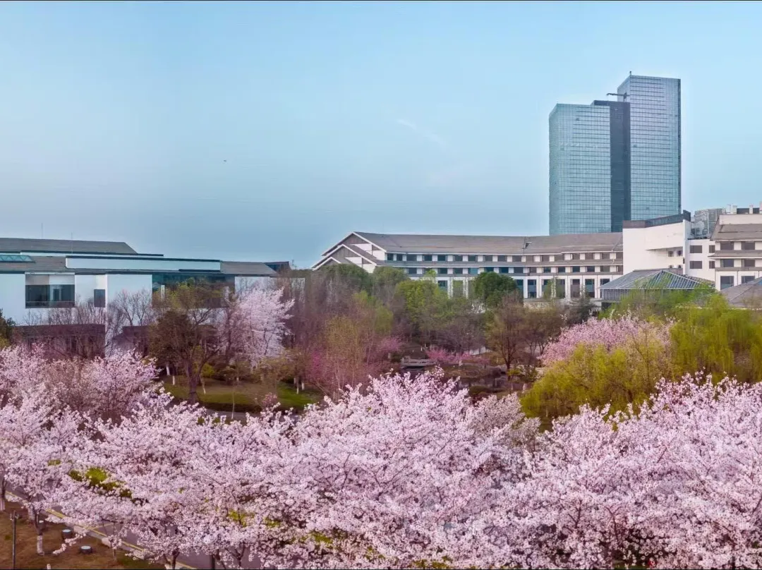 Worldhotel Grand Dushu Lake Suzhou - Suzhou