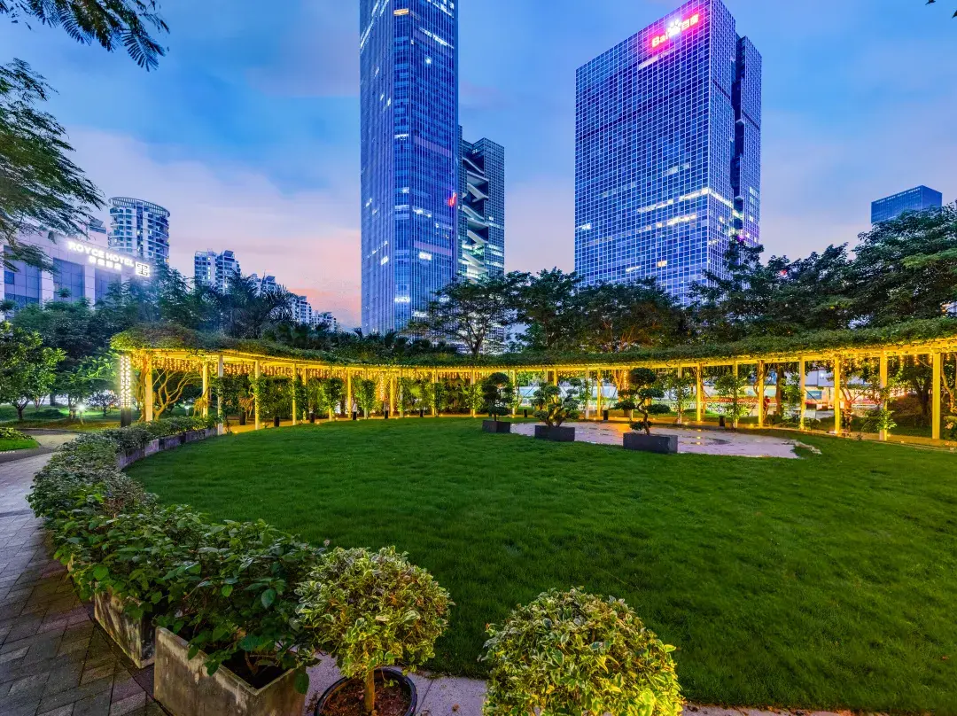 Royce Light - Hong Kong