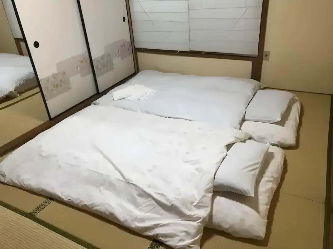 Traditional Inn - 淺草