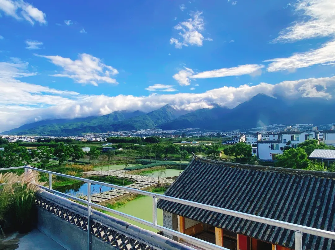Yang Xiaomo's Homestay In Dali - Dali